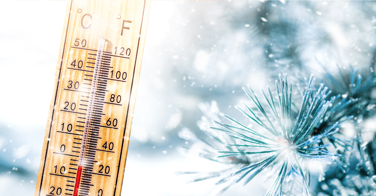 The Best Low Temperature Dehumidifiers - 2026 Updates
