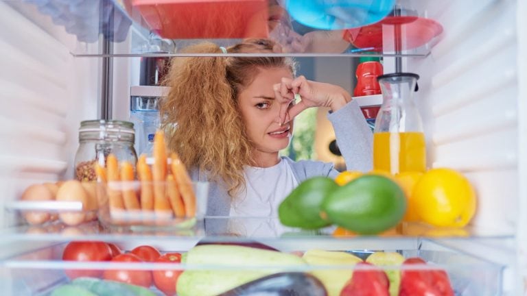 What Is The Ideal Humidity Level in Refrigerator? - 2025 Consumers Guide