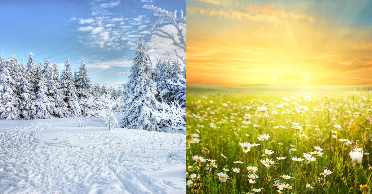 What Is More Ideal Humidity in Winter vs Summer? - 2025
